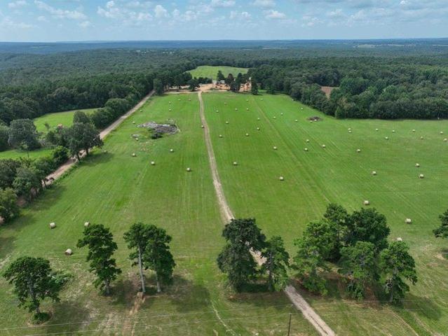 548C Cornerstone Rd, Pleasant Plains, AR 72568