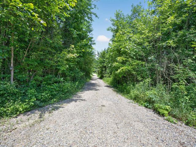 5498 Piersonville Road