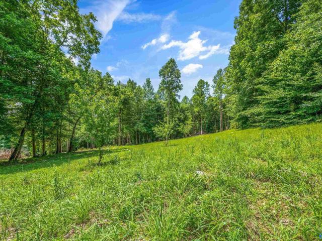 5493 County Road 4