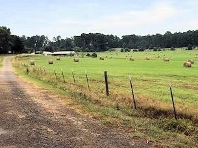 549 An County Road 341 Lot 1, Palestine, TX 75803