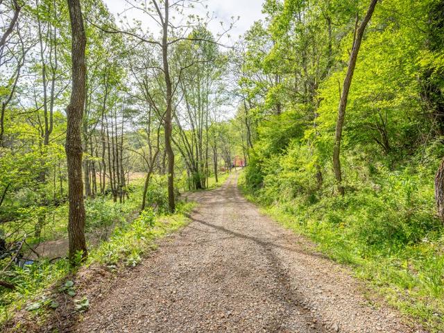 549 Burkes Ford Rd
