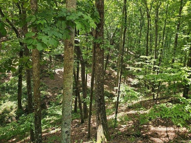549 Myriad Way Lot 549, Ranger, GA 30734