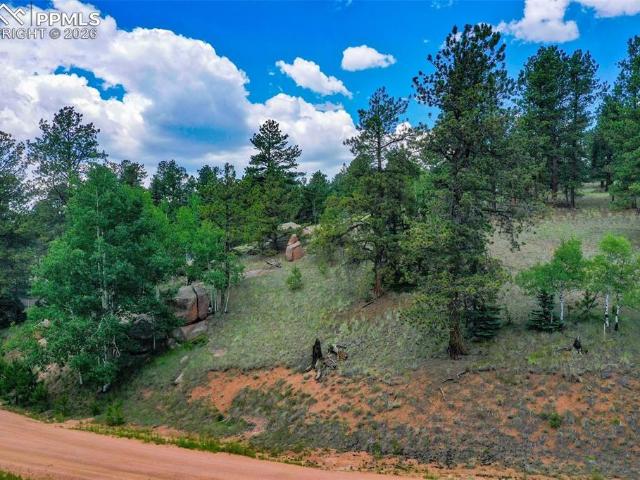 549 Spring Valley Ln, Florissant, CO 80816 | MLS #1862