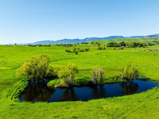 549 State Hwy 345, Parkman, US, WY