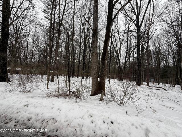 549 Road N, Effort, PA 18330 | MLS #PM 138972