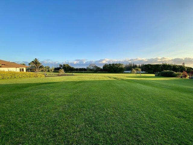 54 3706 Lehuula Cir, Kapaau, HI 96755