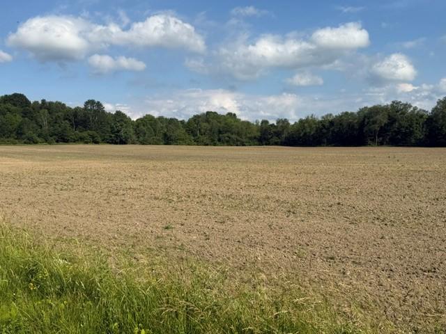 54 Acres FOUST Road