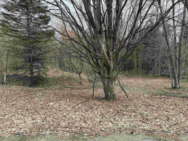 54 Adams School Rd, Grand Isle, VT 05458