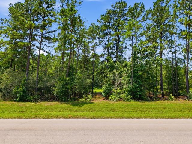 54 Coyote Run, Willis, TX 77378 | MLS #47643
