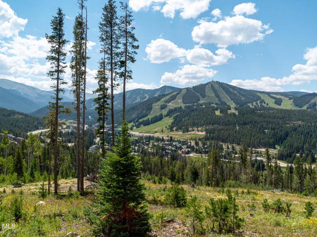 54 Cub Creek Way, Lot 3, Winter Park, CO 80482 | MLS #24 1124