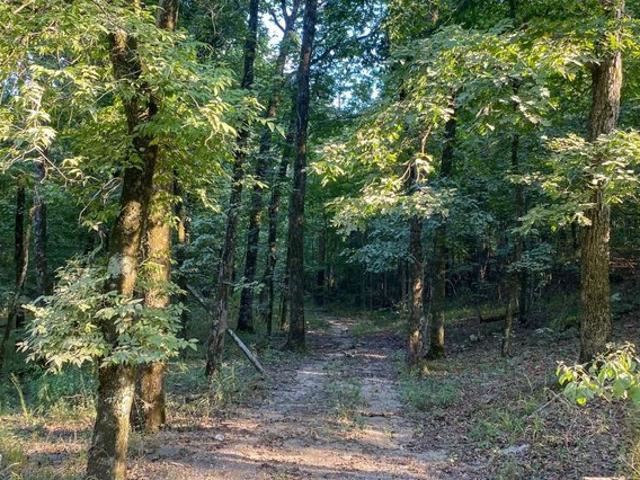 54 Eagle Nest Ln, Hochatown, OK 74728