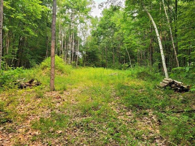 54 Fullam Pond Rd, Winchester, NH 03470