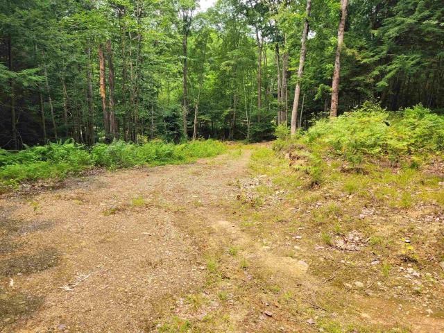 54 Fullam Pond Road