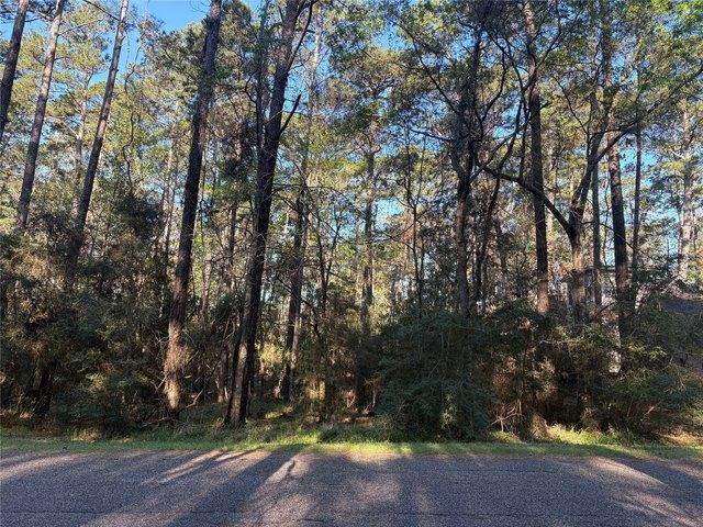 54 Green Tree Dr, Coldspring, TX 77331