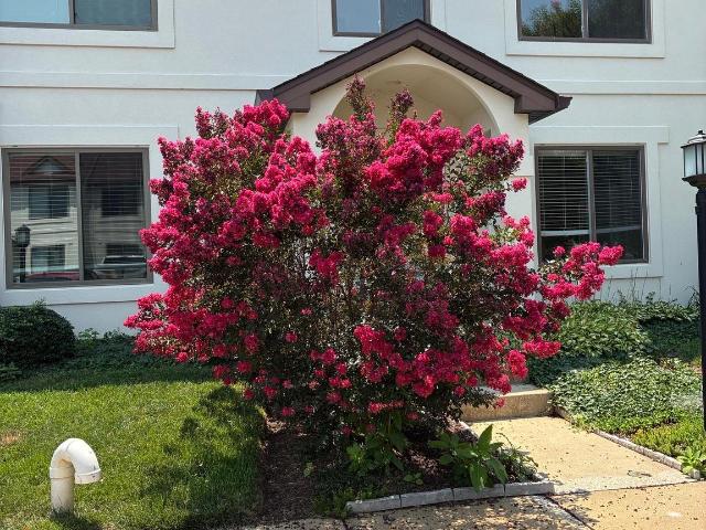 54 H Queen Caroline Ct, Chester, MD 21619 | MLS #MDQA2015