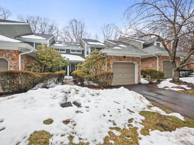 54 N Coriander Drive