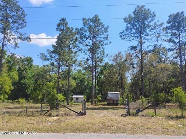 54 NE 841st Ave, Old Town, FL 32680