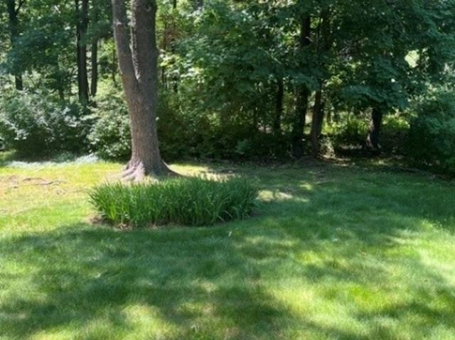 54 Oak Crest Rd