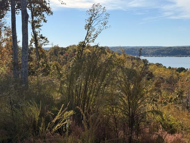 54 Ridge Top Road