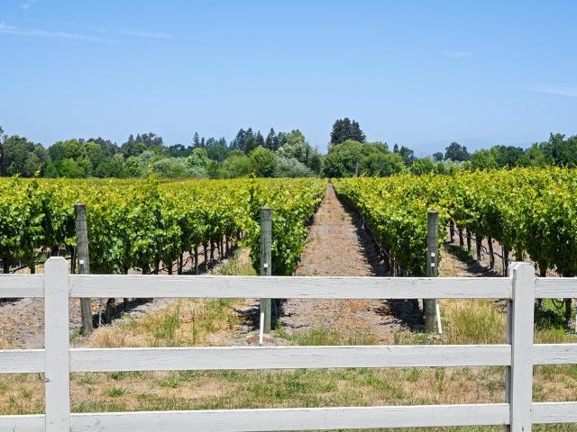 5505 Bravo Toro Ln, Santa Rosa, CA 95401 | MLS #326005 | Compass
