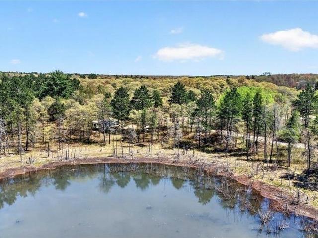 55065 Silverwolf Dr, Barnes, WI 54873