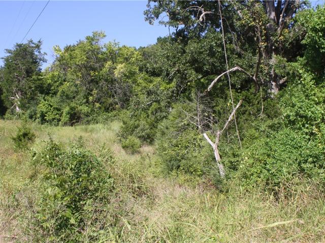 5502 E Highway 202