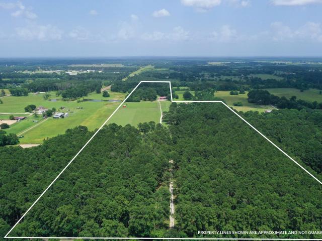 550 County Road 2267