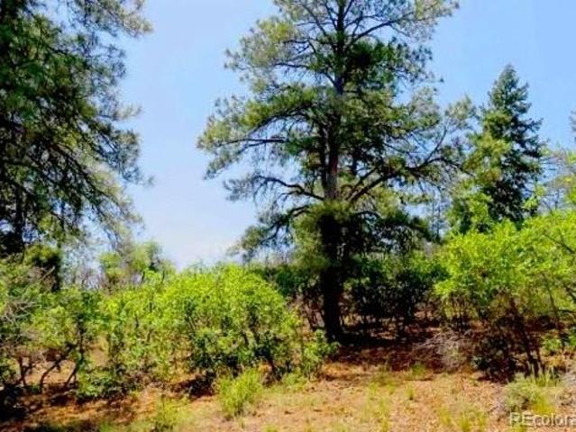 550 Deer Trail