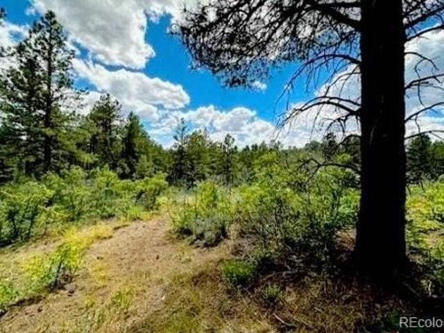 550 Deer Trl, Pagosa Springs, CO 81147