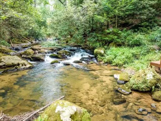 550 Running Deer Rd, Cleveland, GA 30528 MLS 7385043