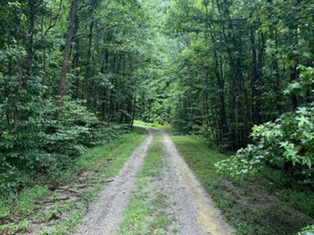 550 Wilson Creek Rd, Boston, KY 40107