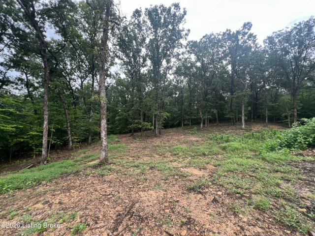550 Wilson Creek Rd
