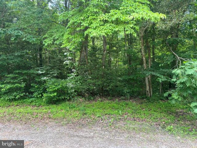 5517 Forest View Drive