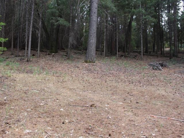 5511 Shooting Star Rd, Pollock Pines, CA 95726 | MLS #225092