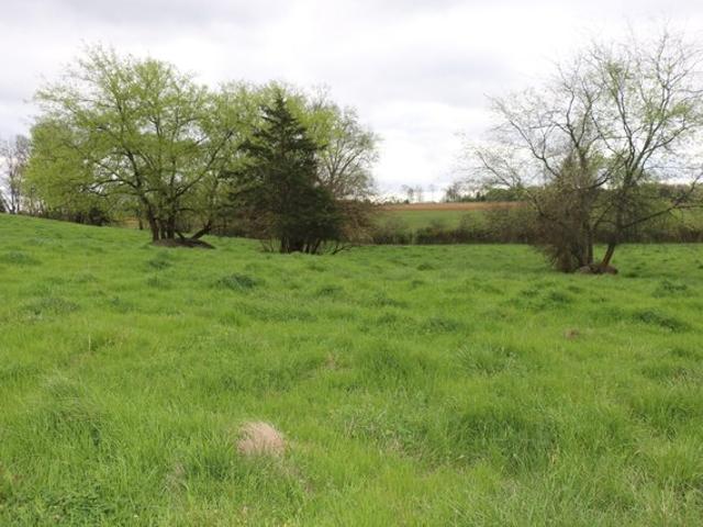 551 Campground Rd, Madisonville, TN 37354