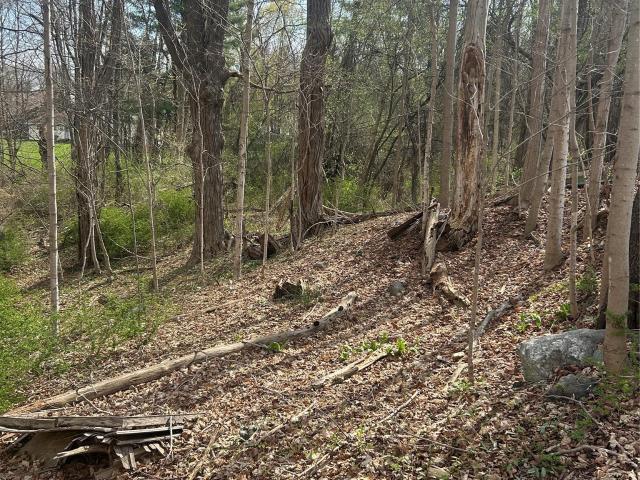 552 Holmes Rd, Holmes, NY 12531 | MLS #986558