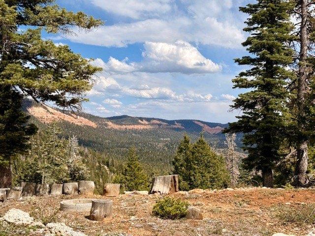 5535 W Mountain Lion Dr Units 6 & 7, Duck Creek Village, UT 84762
