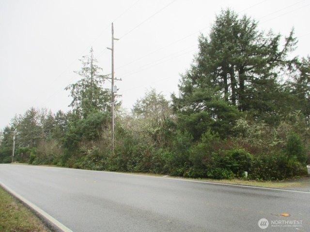 553 Dolphin Ave NE Lot 280, Ocean Shores, WA 98569