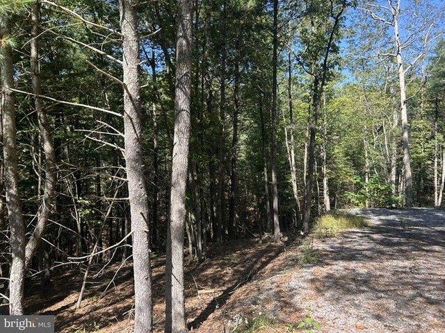 553 Lookout Ridge Dr, Wardensville, WV 26851
