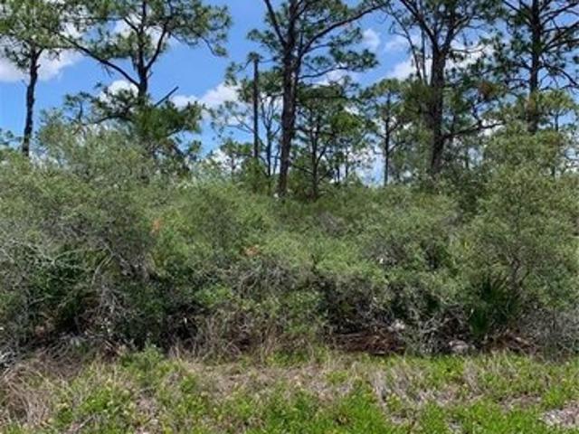 553 Wildflower St, Lake Placid, FL 33852