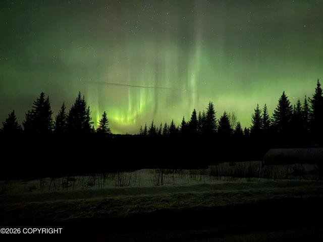 55446 Finch Ave, Homer, AK 99603