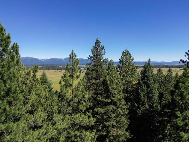 5545 Lupine Ln Lot 118, McCall, ID 83638