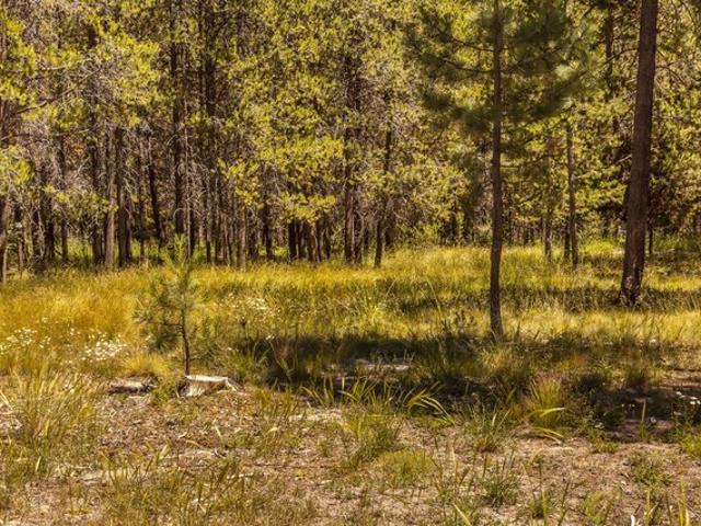 55471 Jamie Way, Bend, OR 97707