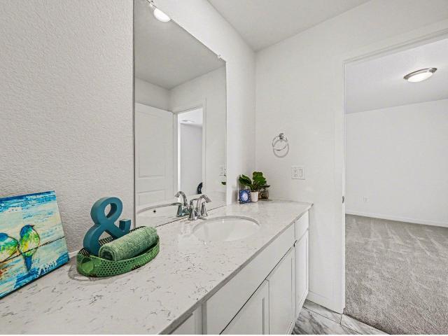 5548 Runge Ct, Timnath, CO 80547 | MLS #1063
