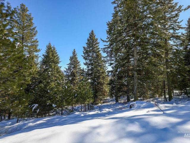5541 Lupine Ln, McCall, ID 83638 | MLS #98976 | Compass