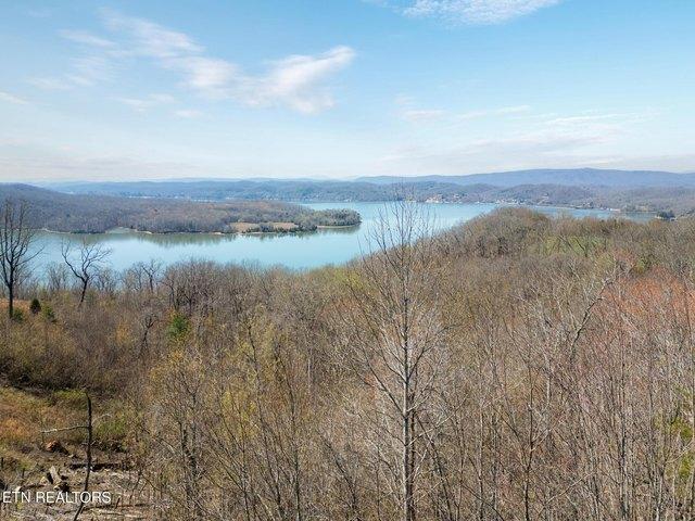 554 Grande Vista Dr, Rockwood, TN 37854