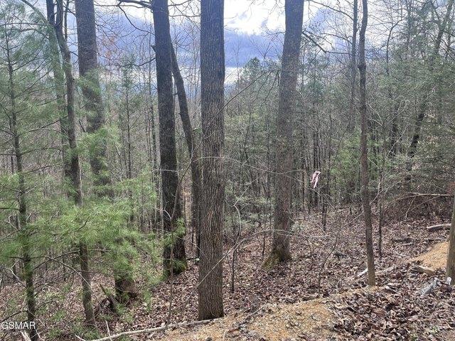 5554 71 Yellowwood Dr, Sevierville, TN 37876