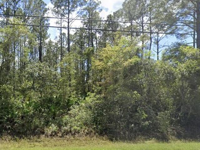 5557 Mahogany Blvd, Bunnell, FL 32110