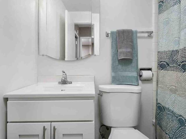5550 S Dorchester 1 Bedroom Apartment for Rent at 5550 South Dorchester Avenue, Chicago, IL 60637 Hyde Park