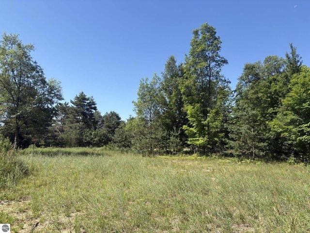 5551 N 9 Rd, Mesick, MI 49668